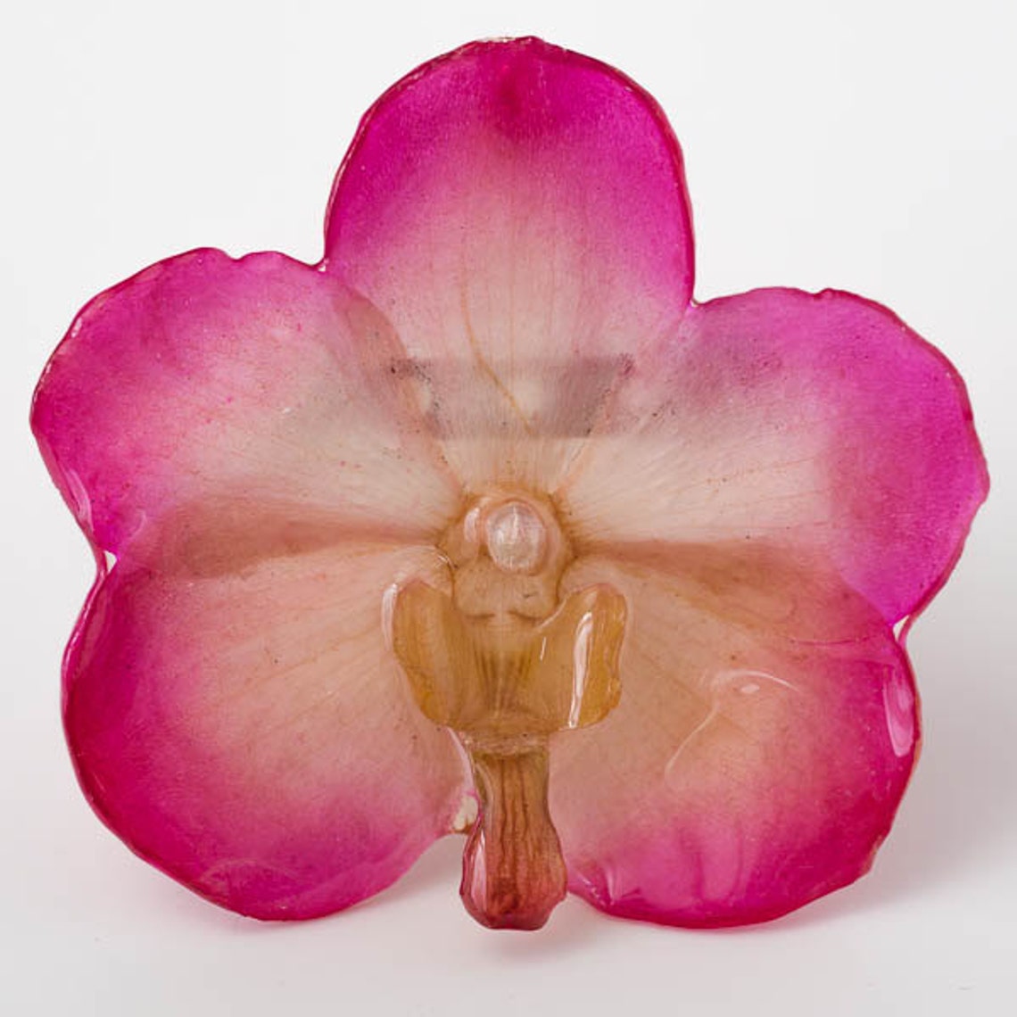 Pink White Vanda Orchid Pin - Etsy