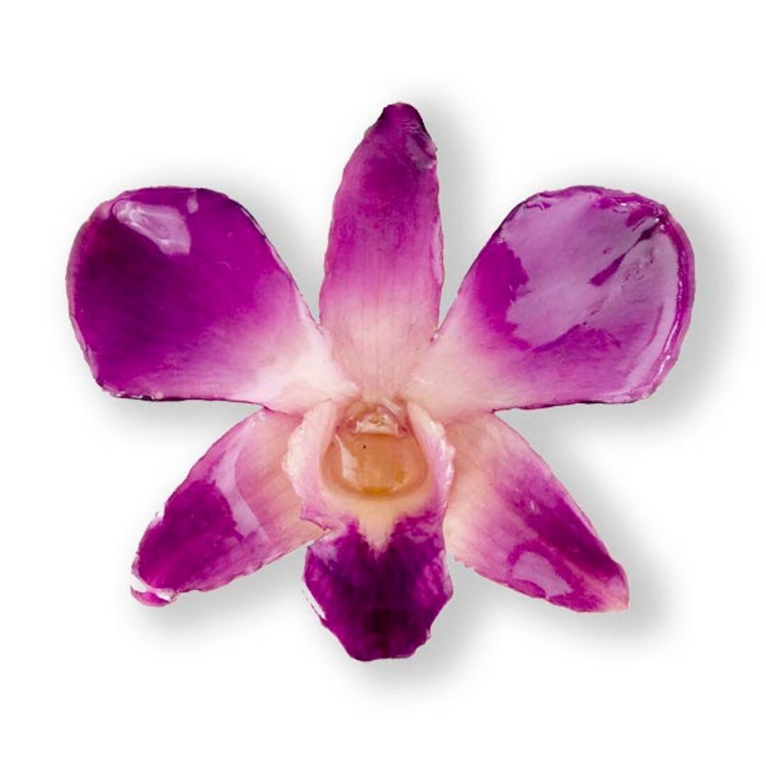 ORCHID PIN - Etsy