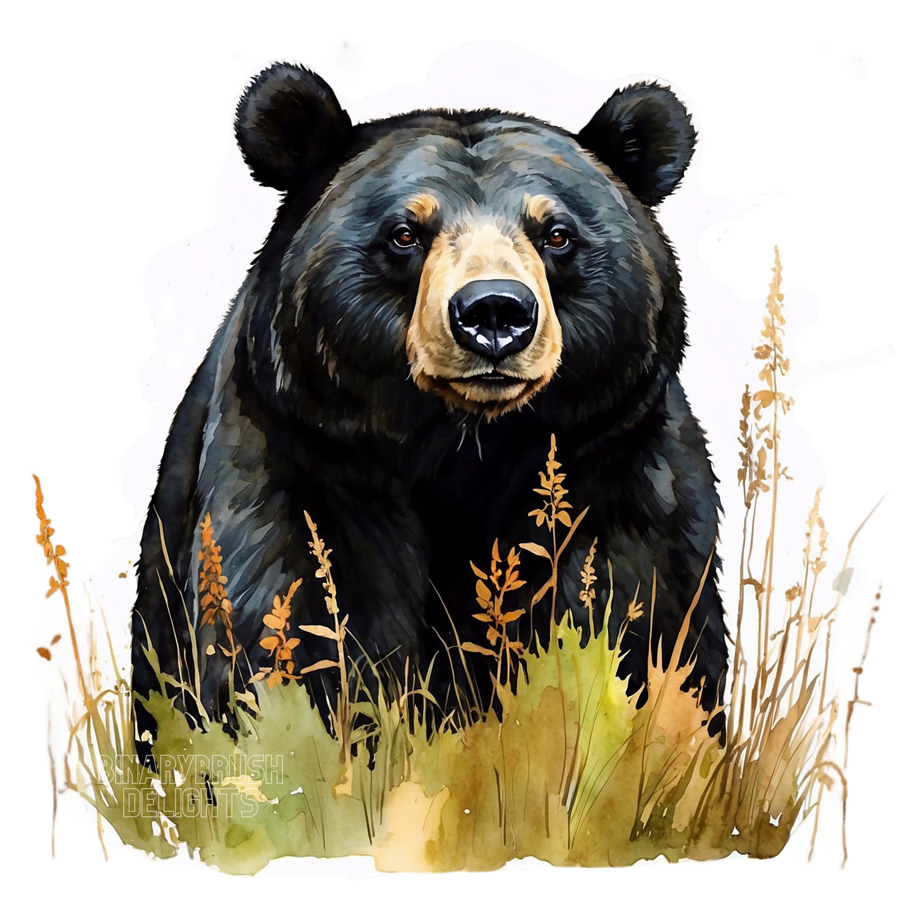 Black Bear Watercolor Clipart 10 High-quality PNG&JPG Wall Art Paper ...