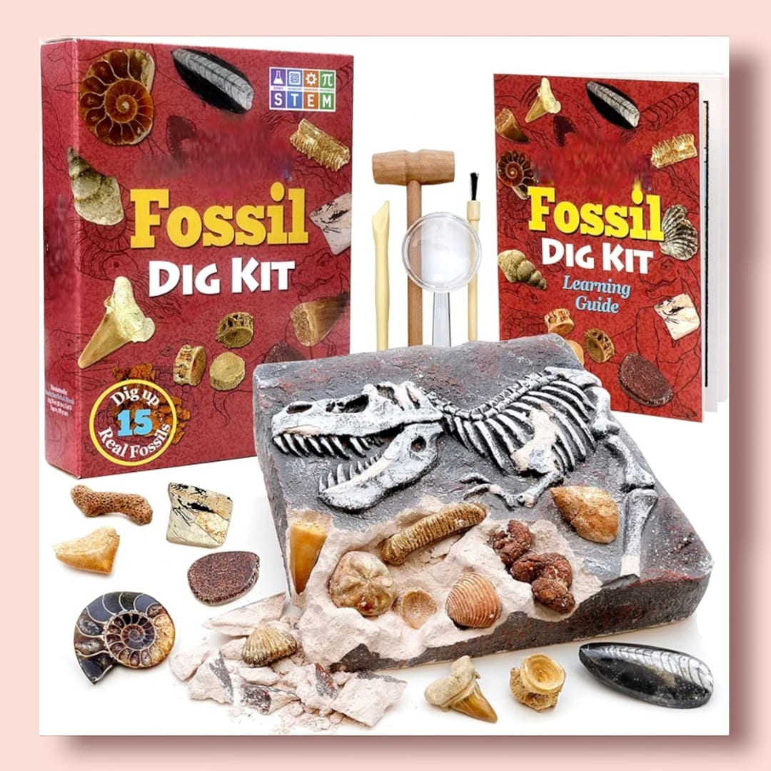 Dinosaur Fossil Dig Kit for Kids Excavate Real Dinosaur Bones & Shark ...