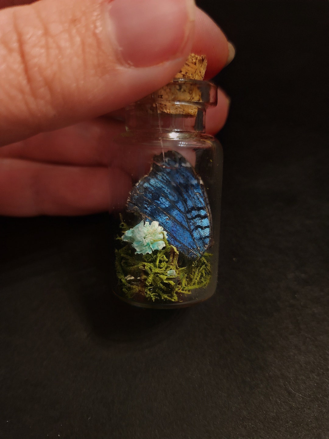 Broken Faerie Wing Vial - Etsy