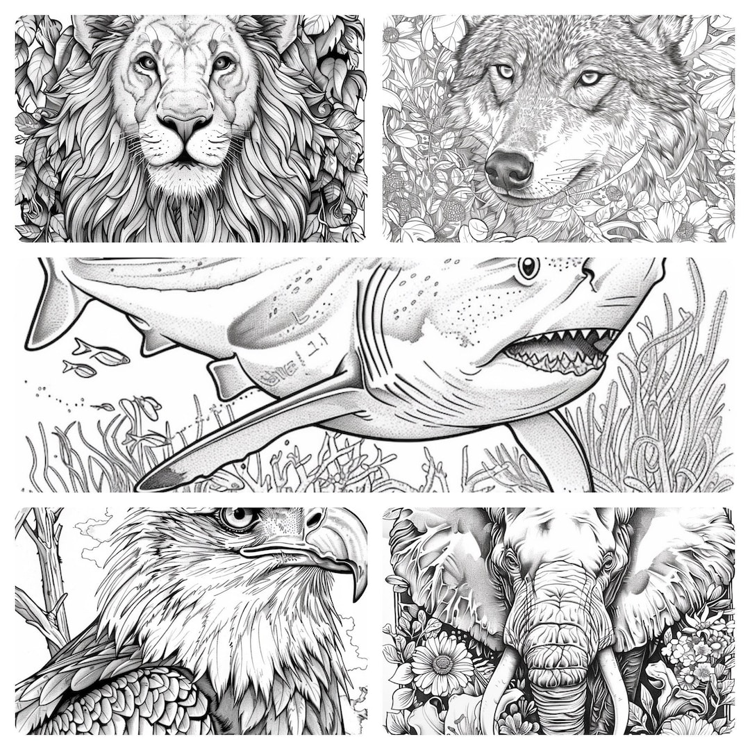 Wild Animal Coloring Pages - Etsy