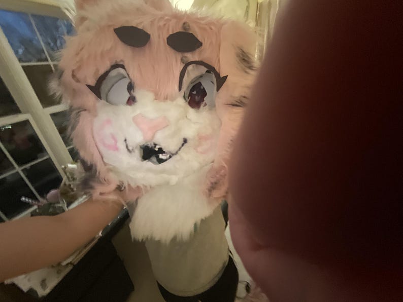 Custom Fursuit Heads; Dm Me for Fursona - Etsy
