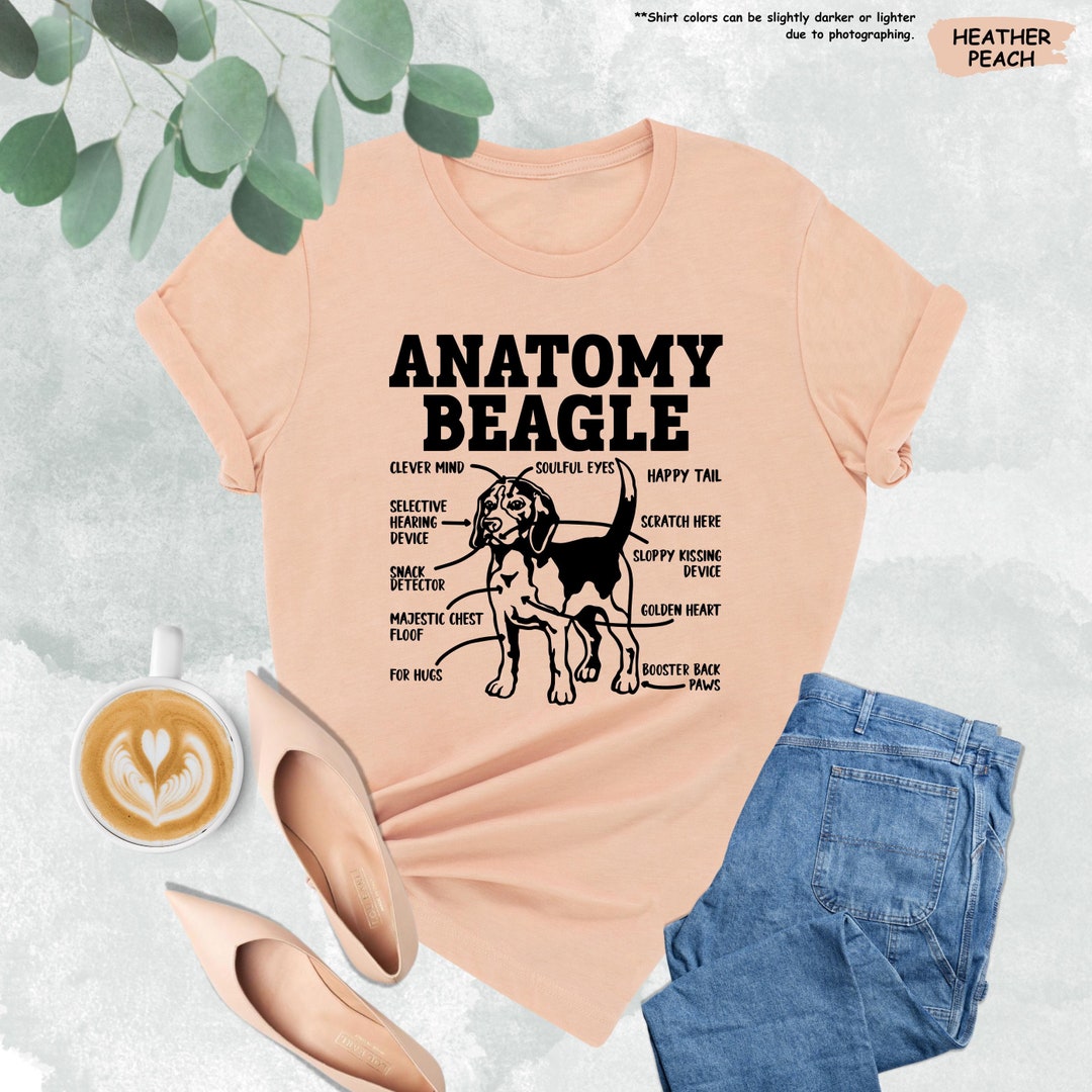 Anatomy Beagle Shirt,funny Beagle Shirt,beagle Dog Shirt,beagle Mom ...
