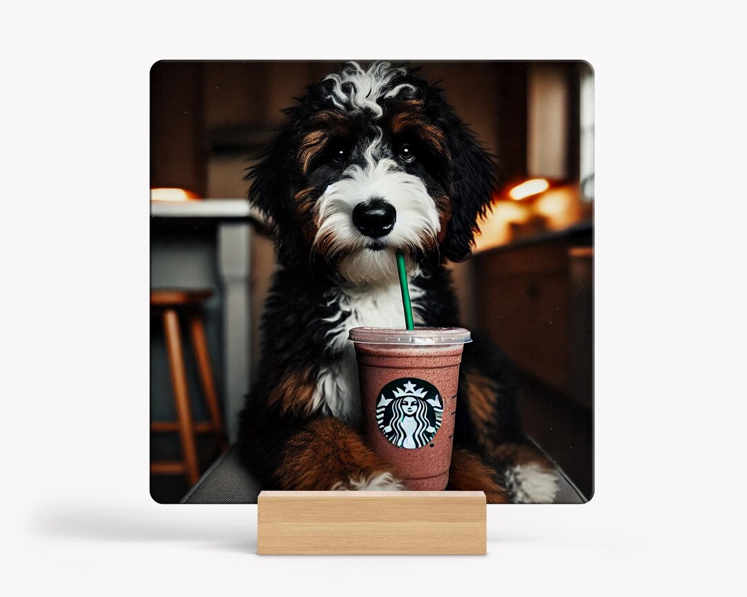 Bernedoodle Drinking Iced Coffee Sign, Funny Metal Sign, Home Decor ...