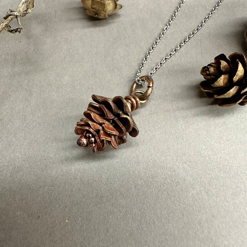 Hemlock Pine Cones - Etsy