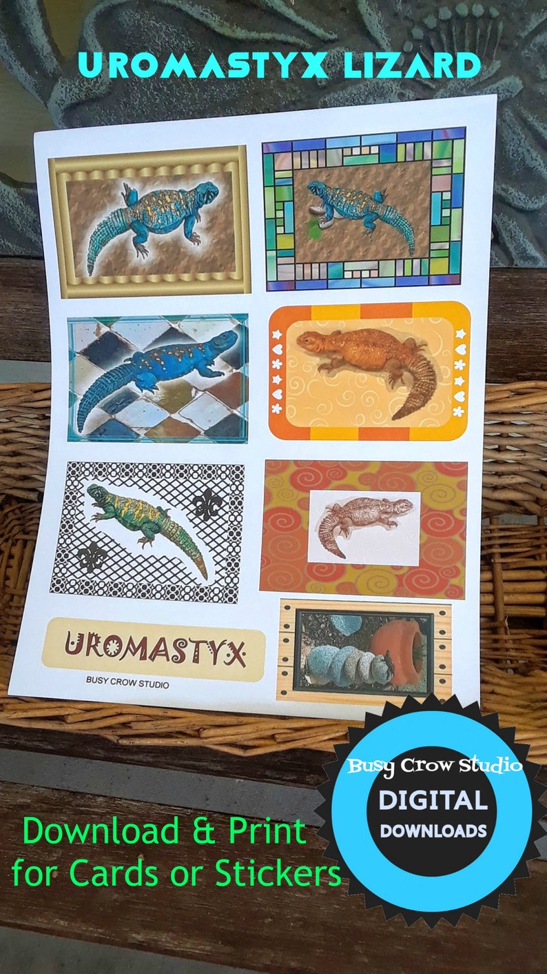 Digital Download Printable for Cards or Stickers Uromastyx Lizard ...