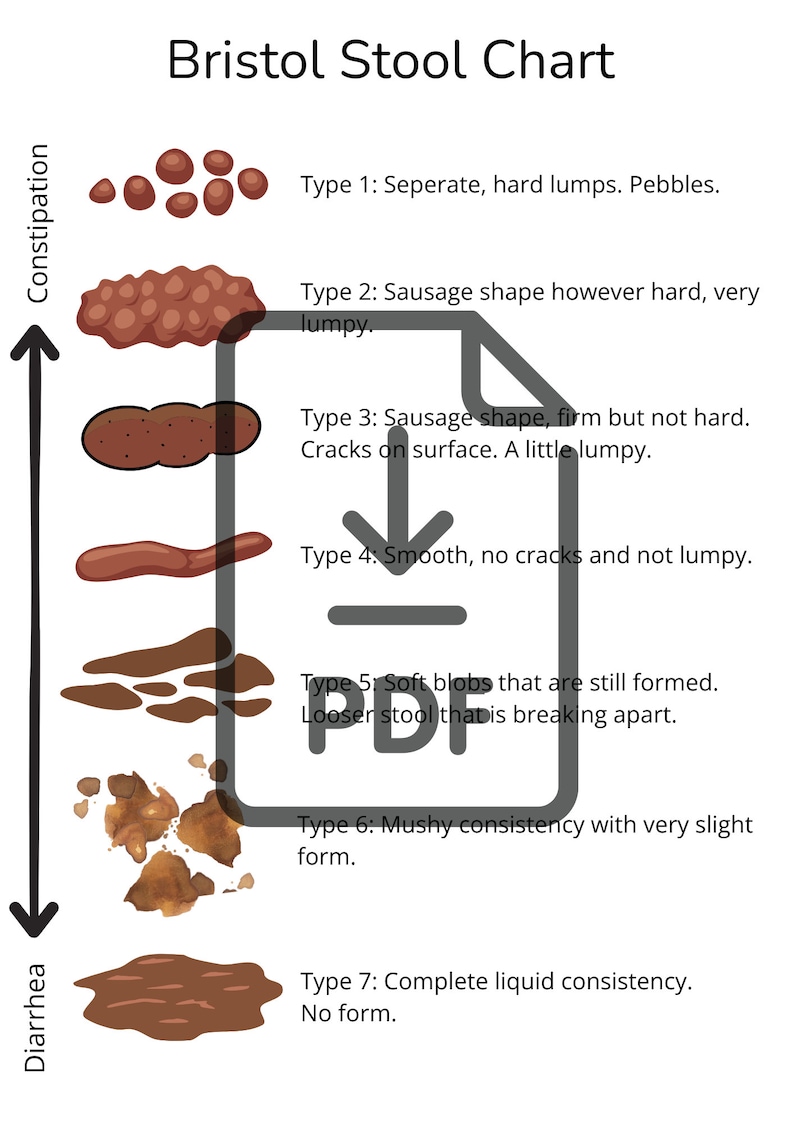 Bristol Stool Chart - Etsy