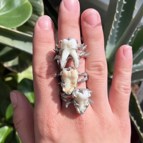 Human Teeth Jewelry - Etsy UK