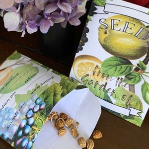 SEED PACKET Templates . Printables . Seed Saver Bundle of 3 for Flowers ...