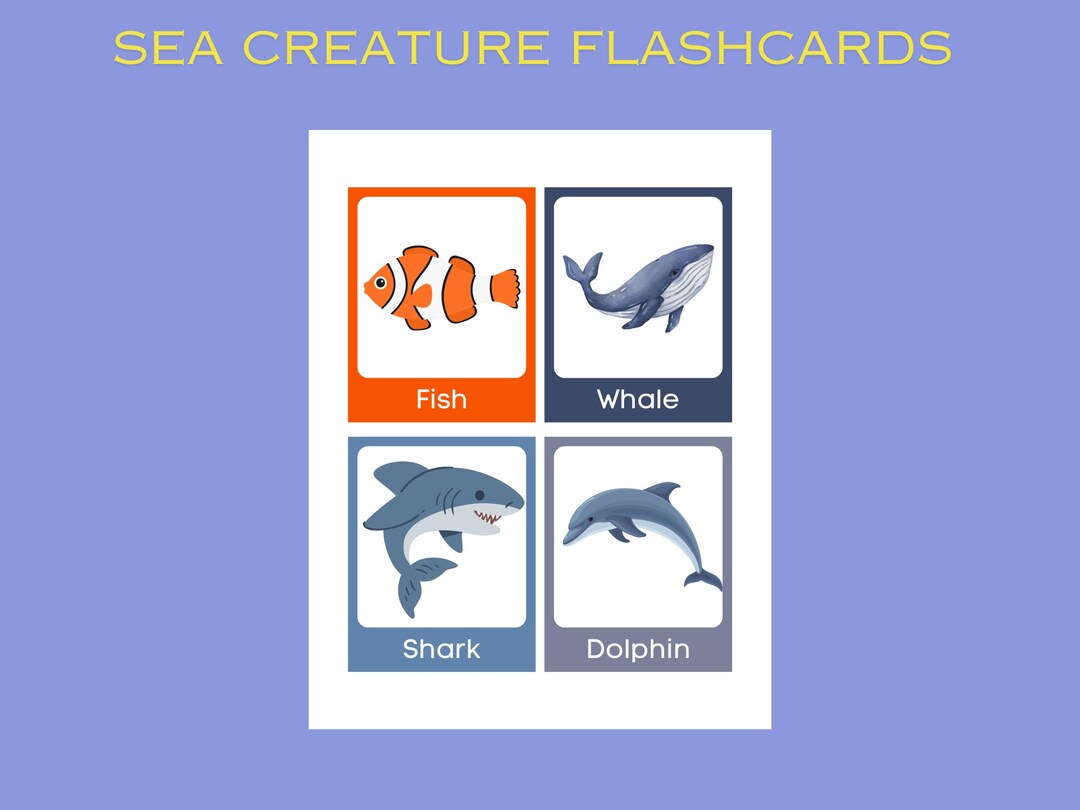 Sea Creature Flash Cards | Canva Pro | Fun for Kids | 5 Pages | 20 ...