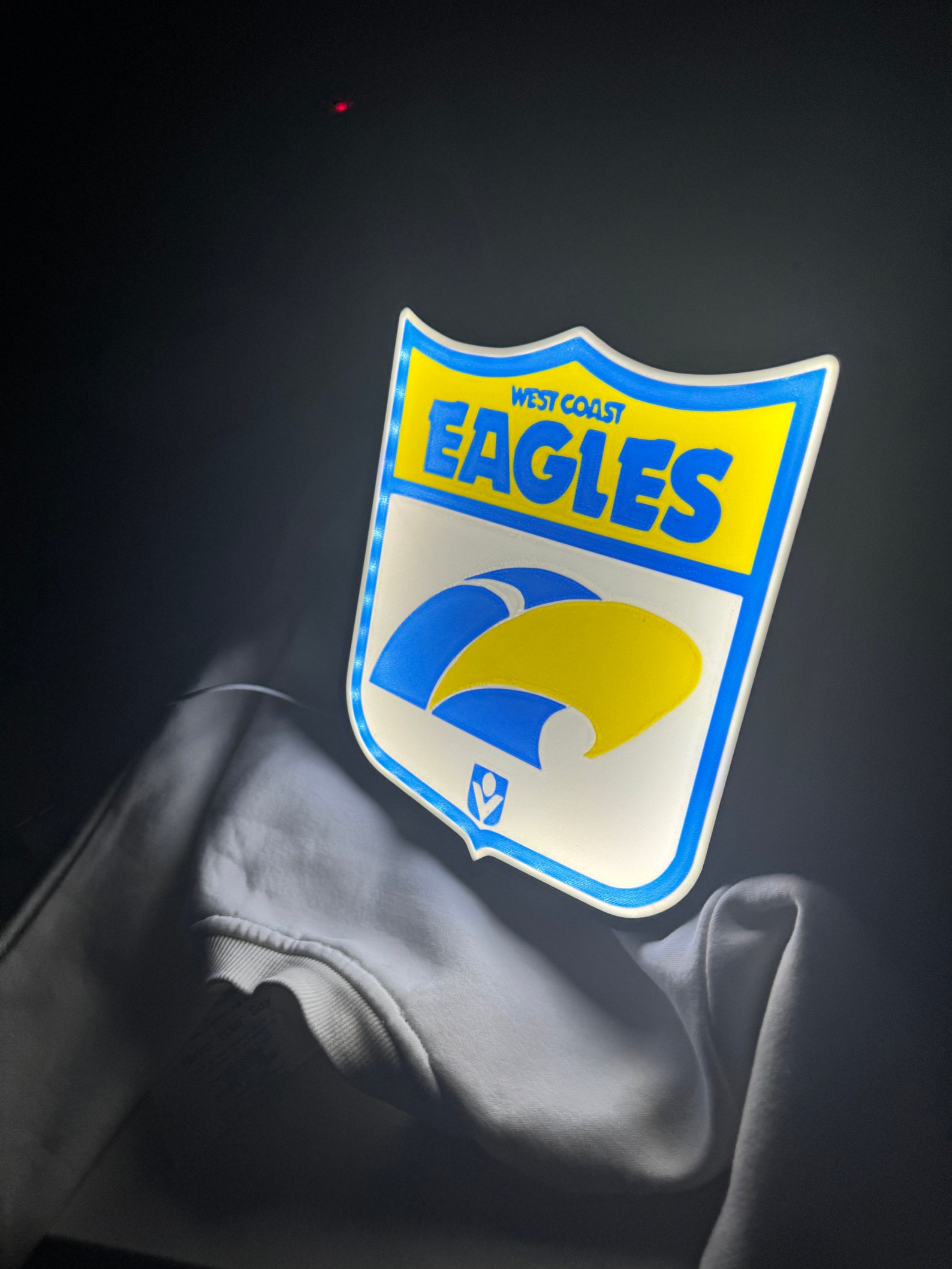 AFL West Coast Eagles Light up Sign, Vintage Football Sign, LED Light ...