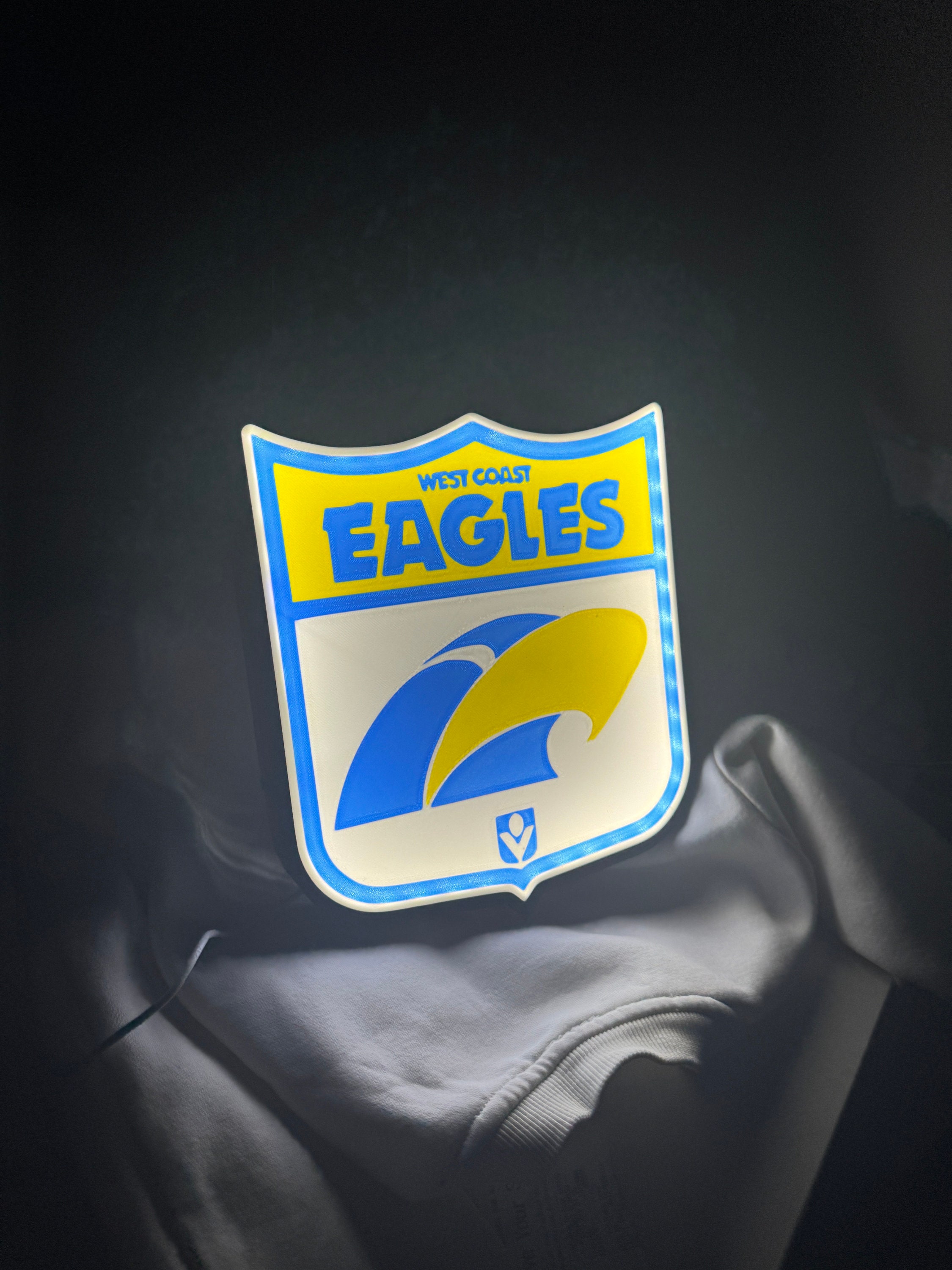 AFL West Coast Eagles Light up Sign, Vintage Football Sign, LED Light ...