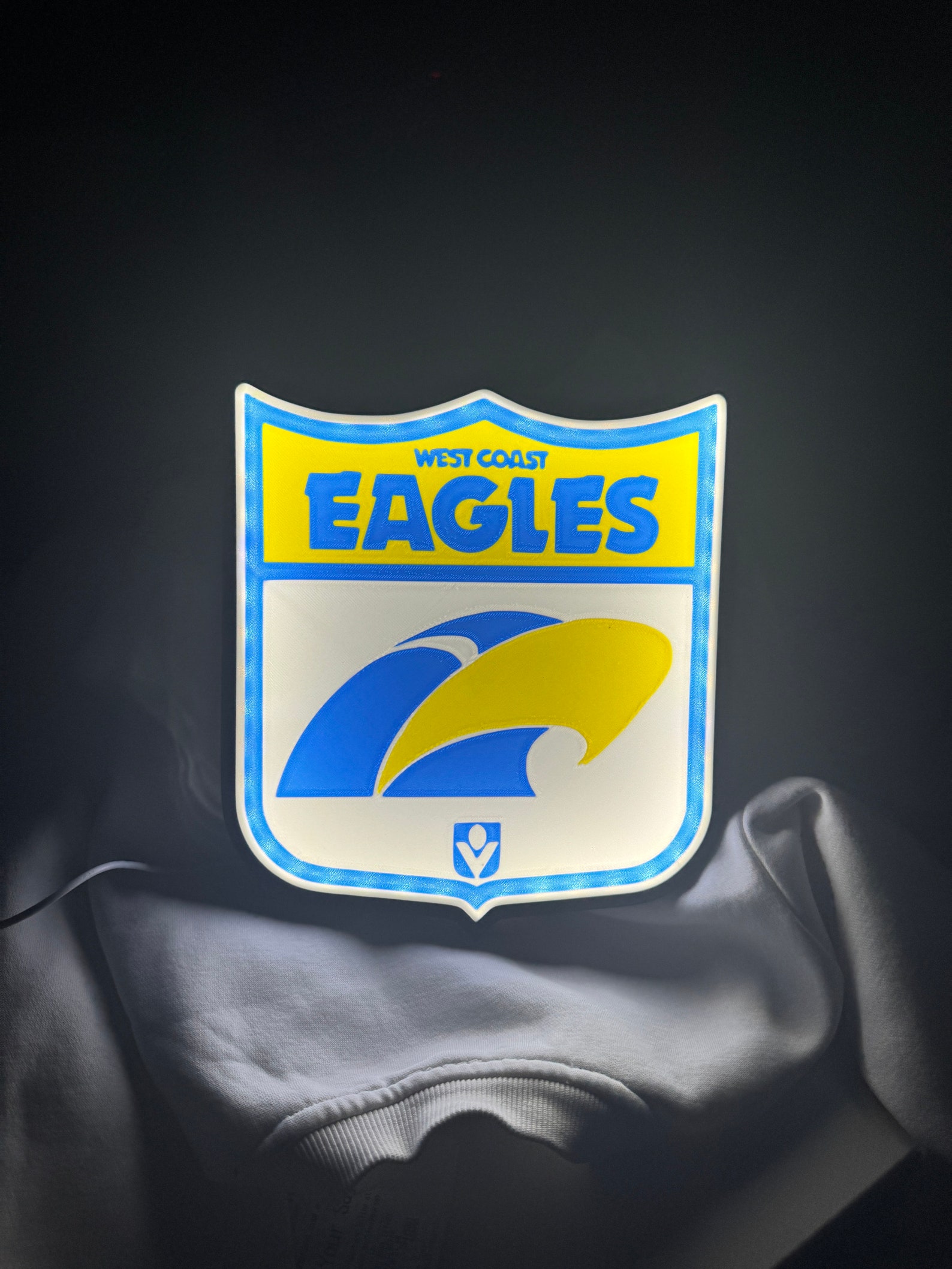 AFL West Coast Eagles Light up Sign, Vintage Football Sign, LED Light ...