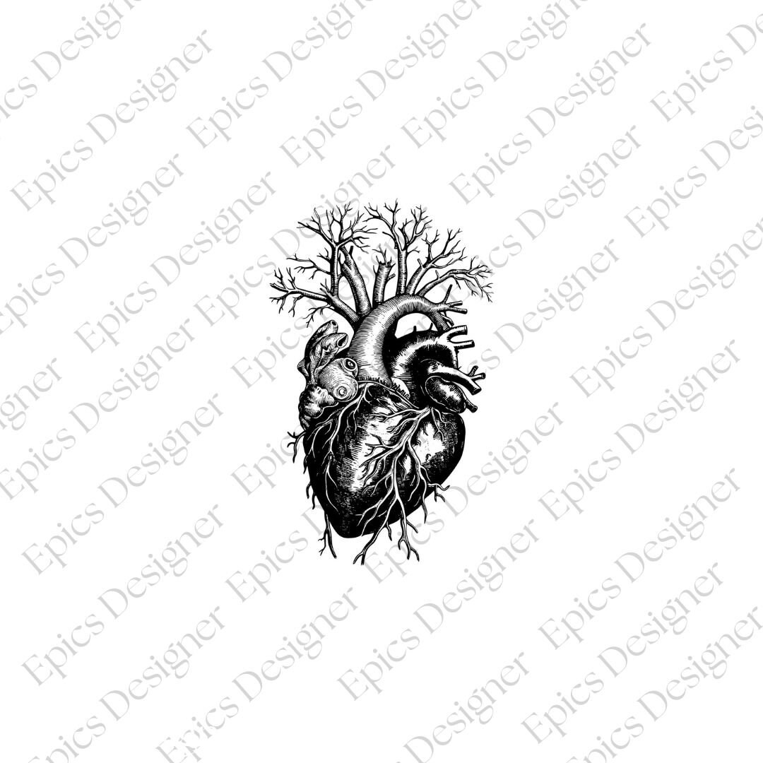 Anatomical Heart Svg Bundle, Real Human Heart Designs, Heart SVG ...