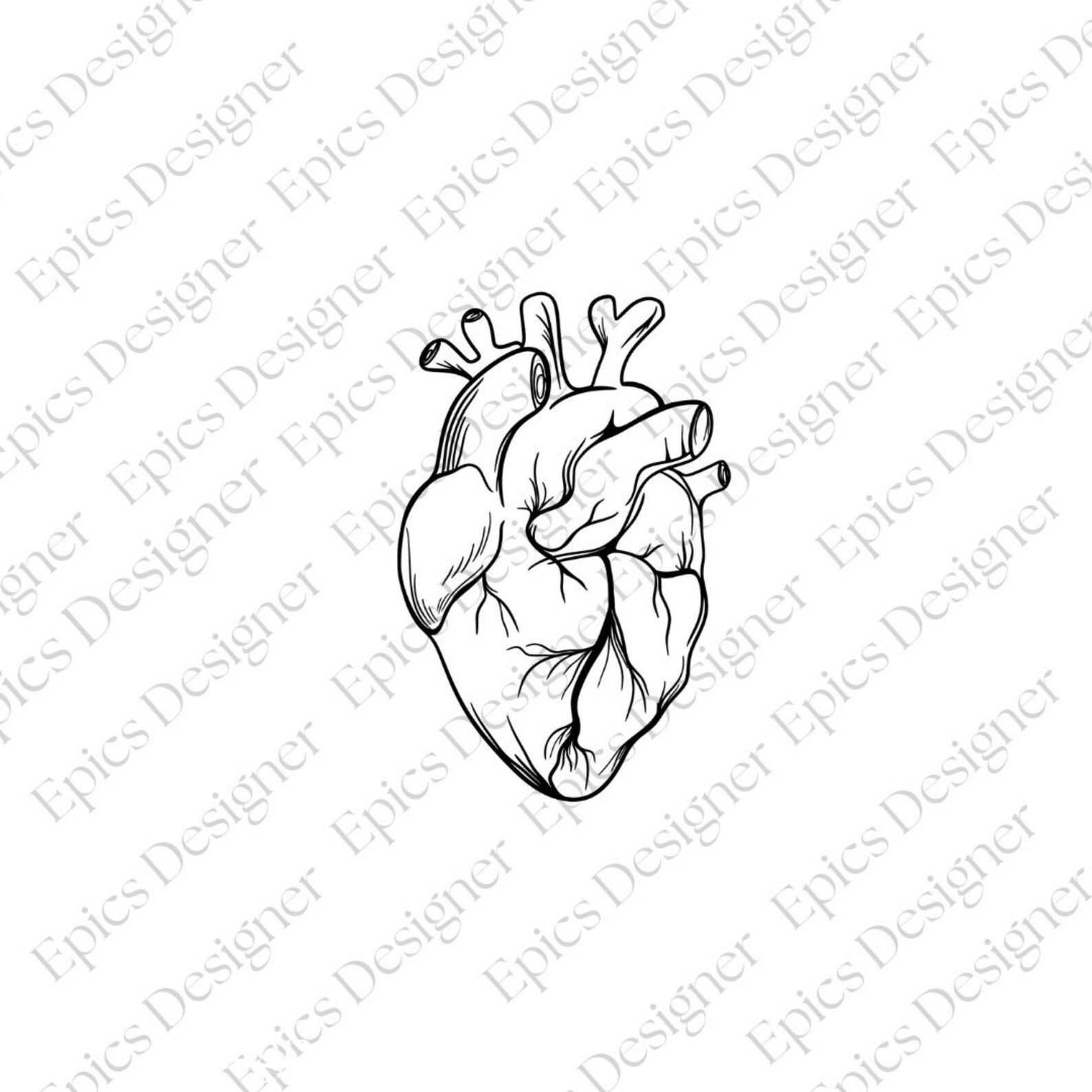 Anatomical Heart Svg Bundle, Real Human Heart Designs, Heart SVG ...