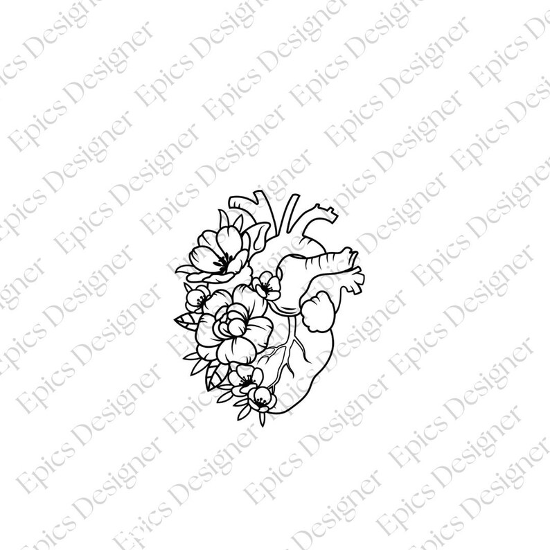 Anatomical Heart Svg Bundle, Real Human Heart Designs, Heart SVG ...