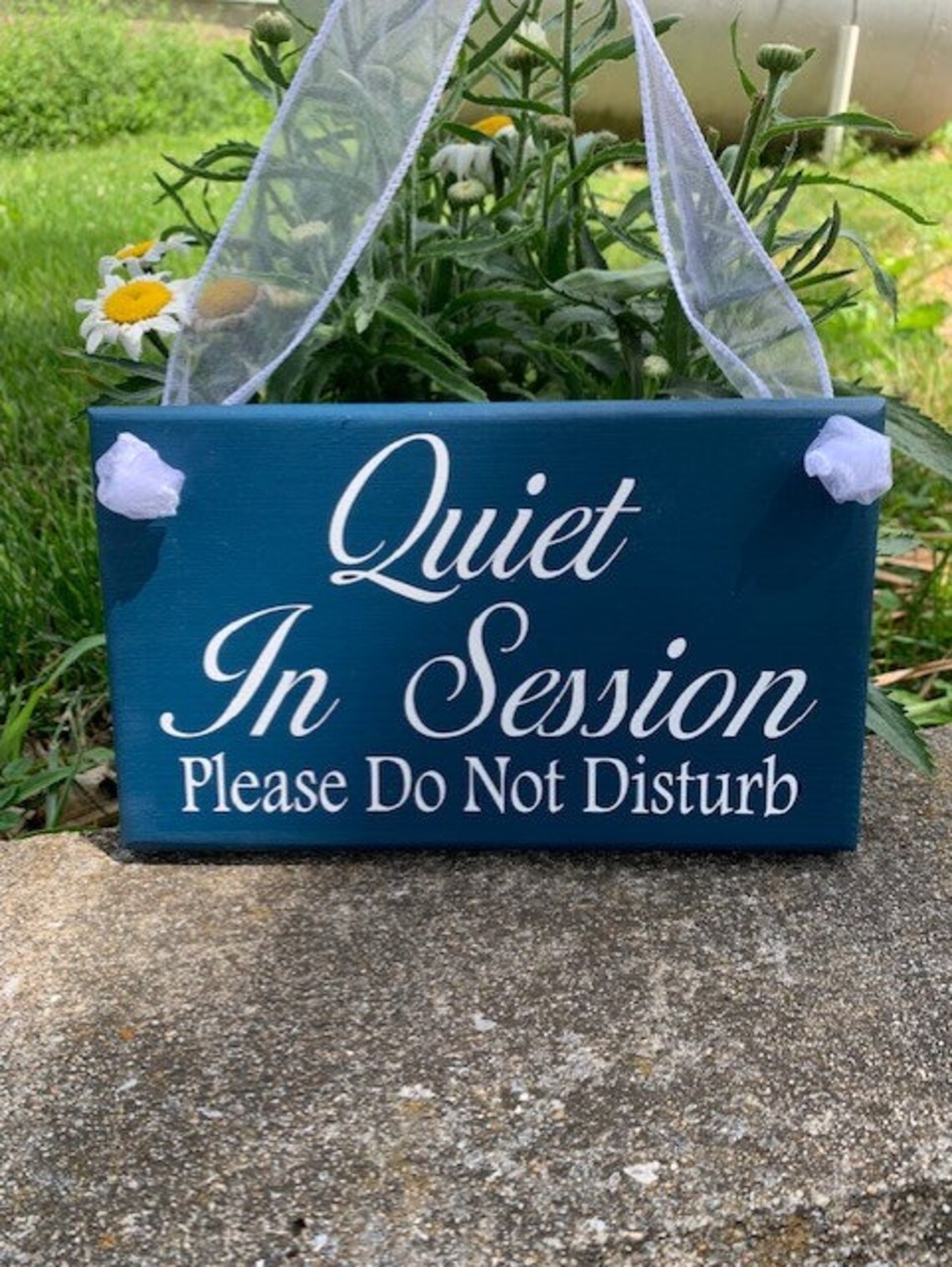 Quiet in Session Please Do Not Disturb Wood Vinyl Sign Home - Etsy