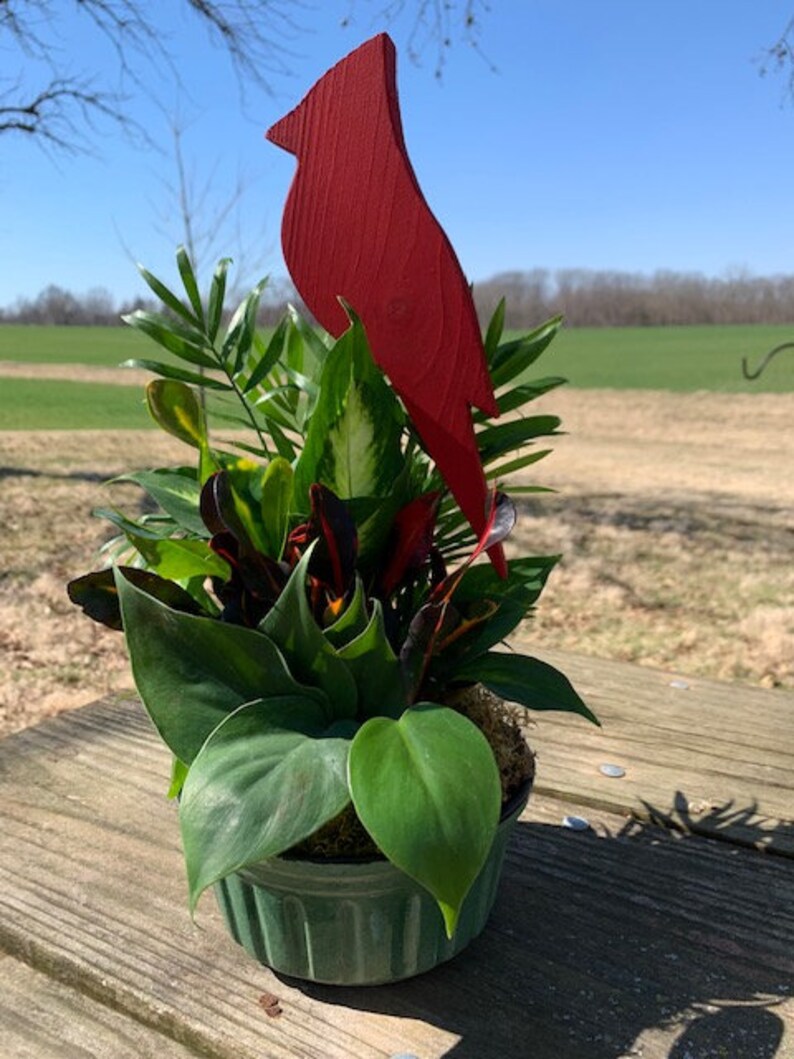 Cardinal Decorative Bird Pick for Centerpieces or Planters or - Etsy