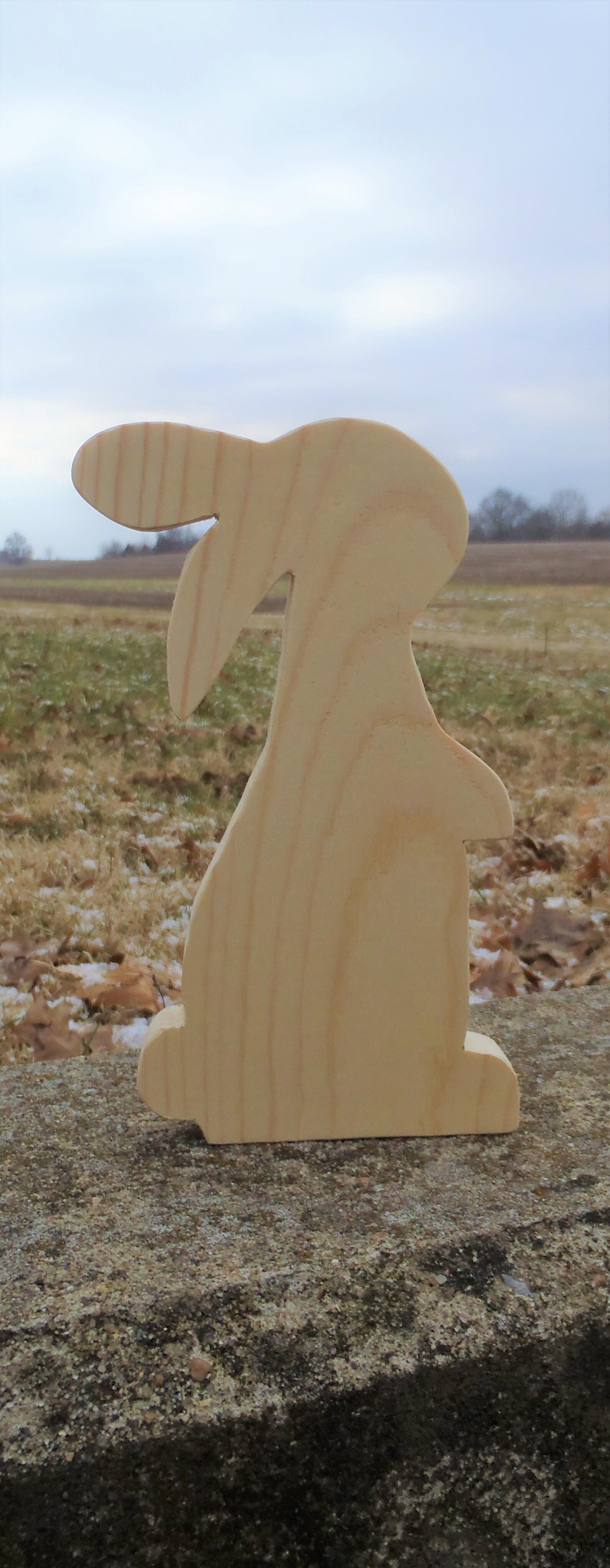 Bunny Rabbit Unfinished Small Wood Cutout Easter Decor Craft - Etsy