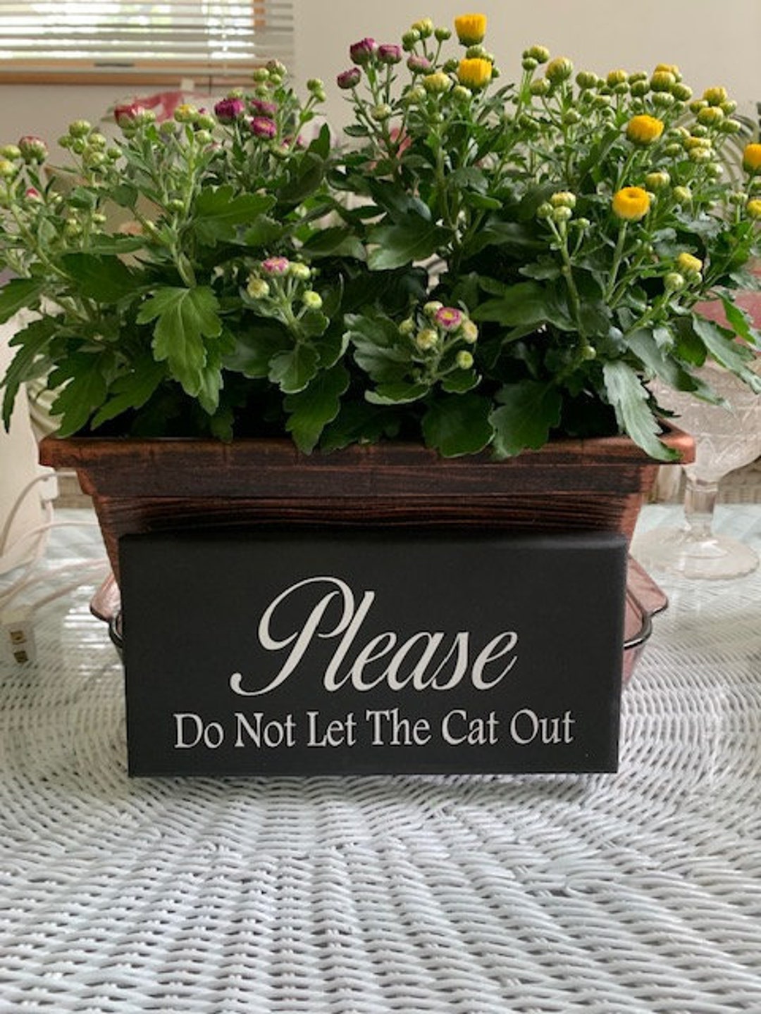 Cat Sign Please Do Not Let the Cat Out Wood Vinyl Door Signage - Etsy