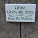 Grass Growing Area Please Use Walkway Sign Outdoor Garden Wood Sign ...