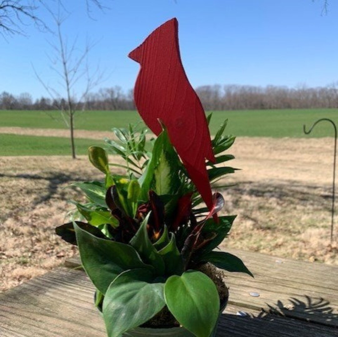 Cardinal Decorative Bird Pick for Centerpieces or Planters or Floral ...