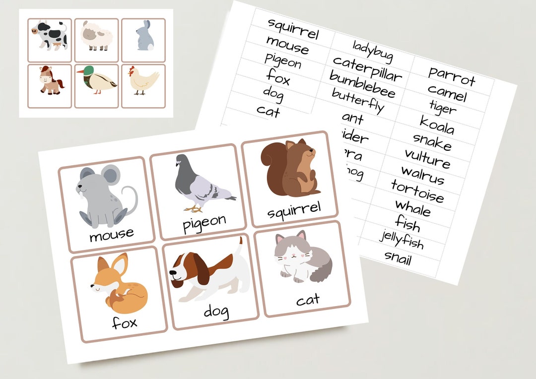 36 Animal Flashcards, Printable Flashcards, Word to Picture Matching ...
