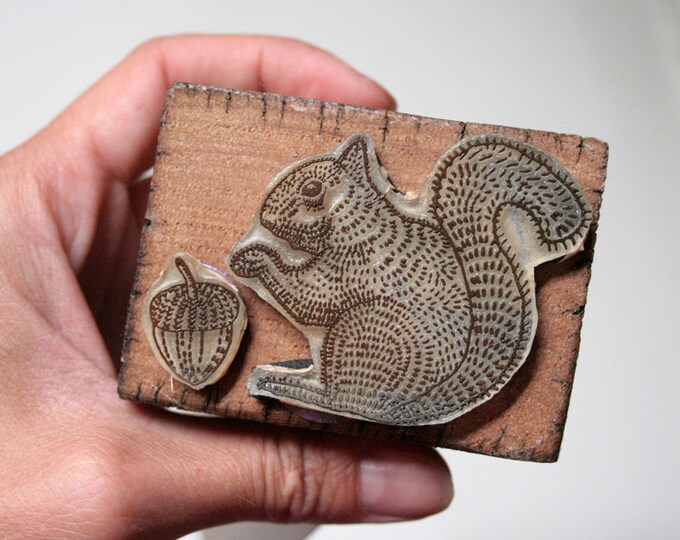 Hungry Squirrel Rubber Stamp - Etsy
