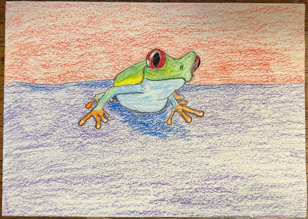 Colored Pencil of a Red Eyed Tree Frog, Colored Pencil Drawing, Fine ...
