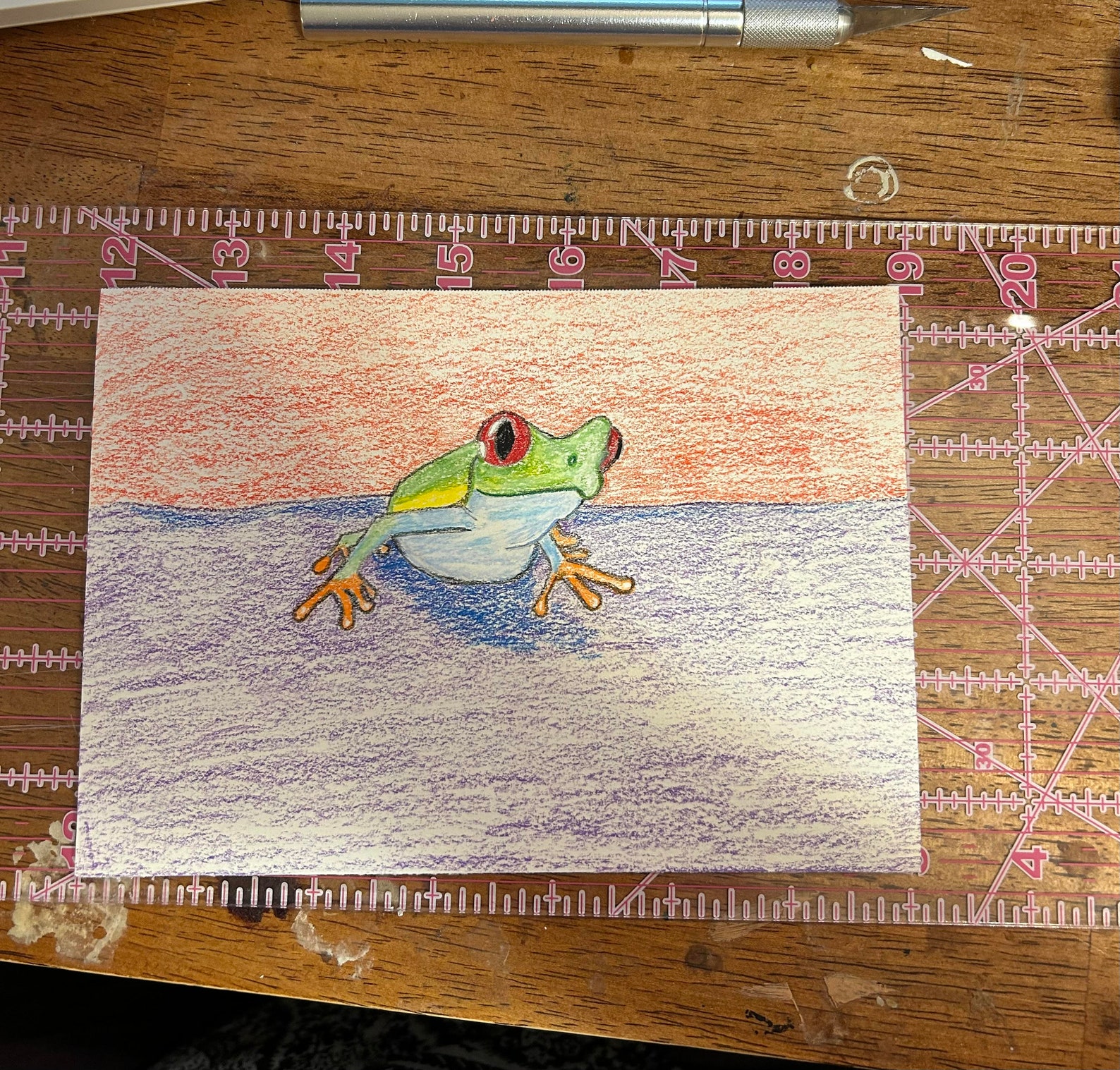 Colored Pencil of a Red Eyed Tree Frog, Colored Pencil Drawing, Fine ...