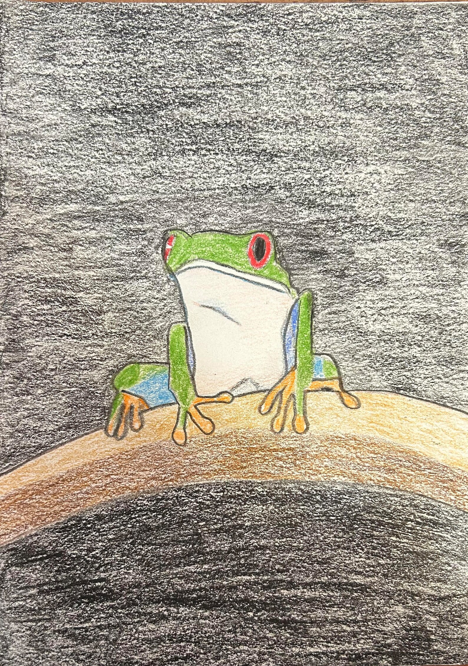 Colored Pencil Drawing, Red Eyed Tree Frog Drawing 3 - Etsy