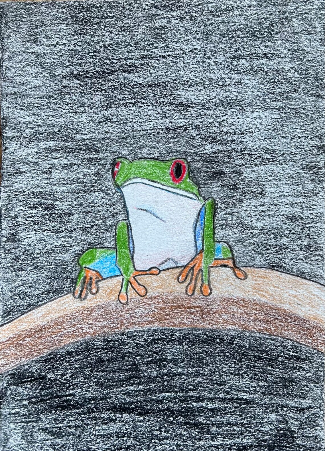 Colored Pencil Drawing, Red Eyed Tree Frog Drawing 3 - Etsy