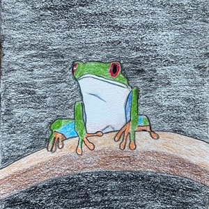 Colored Pencil Drawing, Red Eyed Tree Frog Drawing 3 - Etsy
