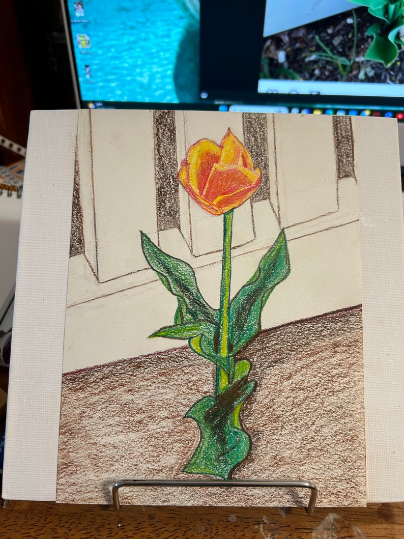 Colored Pencil Tulip Drawing, Fine Art Drawing - Etsy