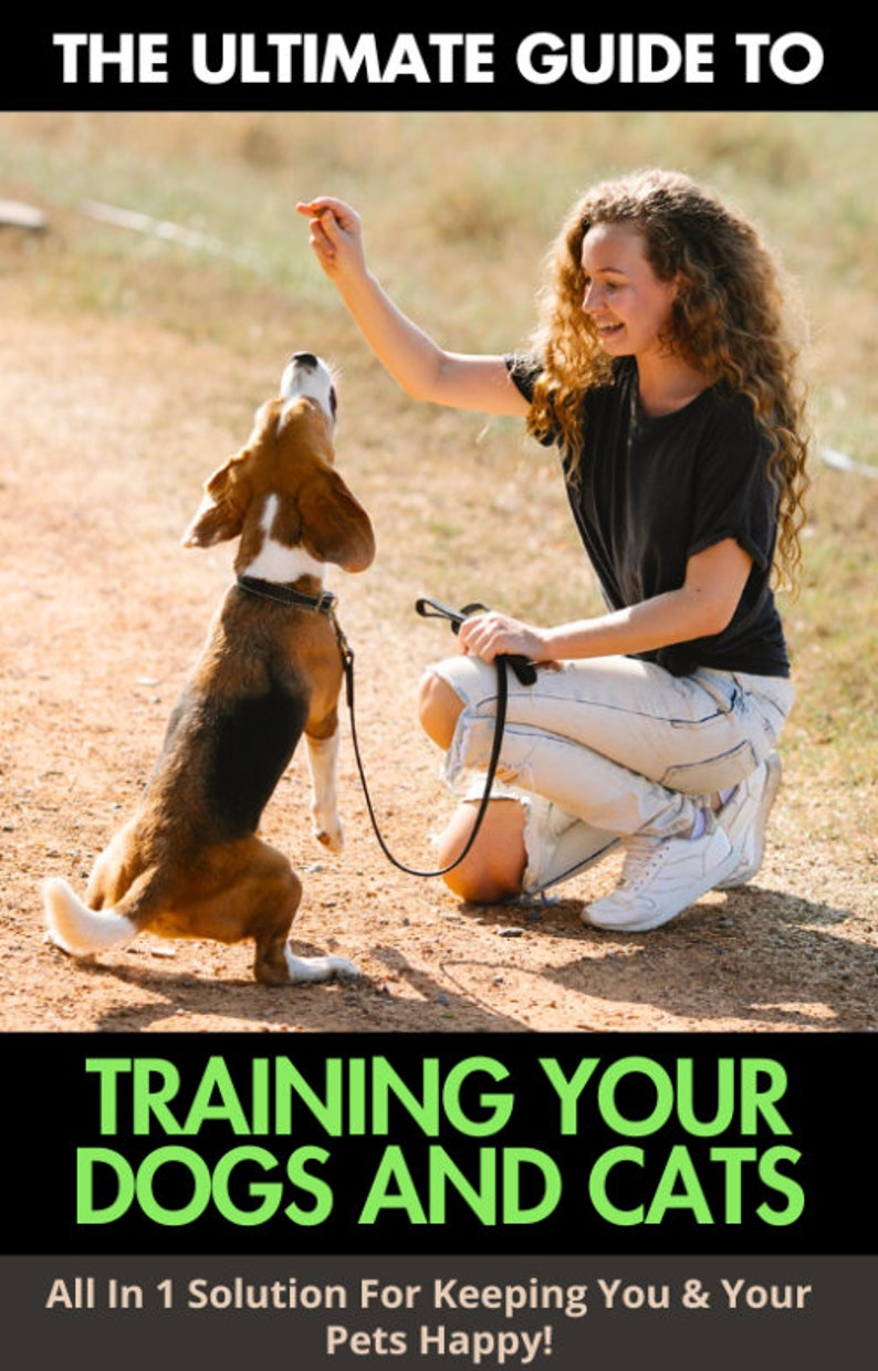 Train Your Dogs and Cat's - Etsy