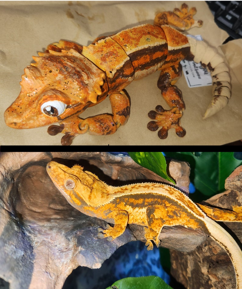Custom 3D Printed and Hand Painted Crested Gecko - Etsy