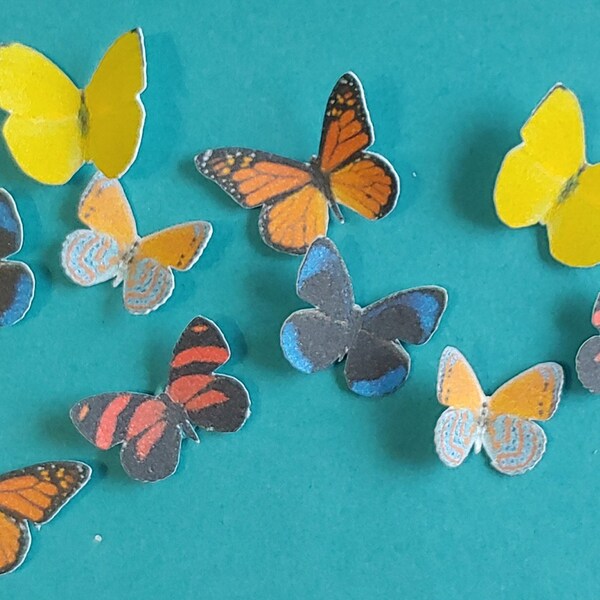 Miniature Butterfly - Etsy
