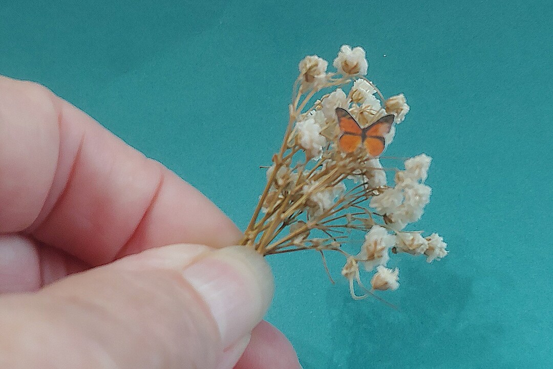 MICRO Miniature MONARCH Butterflies - Set of 12 - Dollhouse, Fairy ...