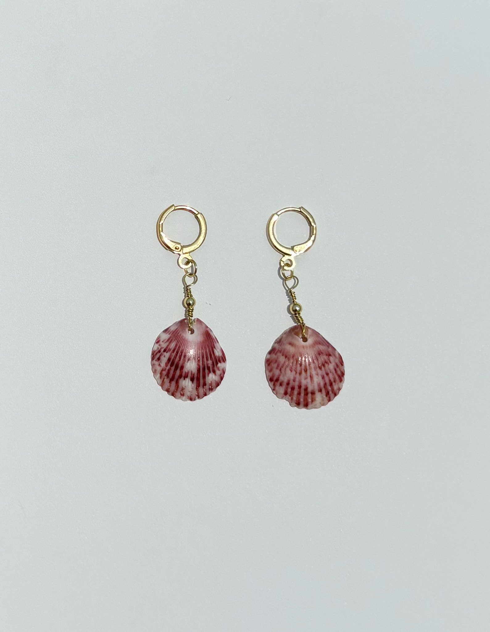 Calico Scallop Shell Earrings, Beach Jewelry, Summer Accessory, Shell ...