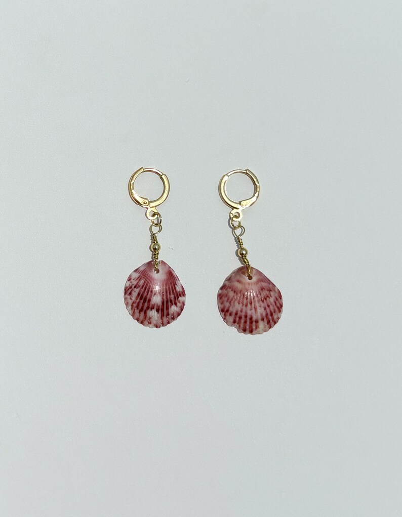 Calico Scallop Shell Earrings, Beach Jewelry, Summer Accessory, Shell ...