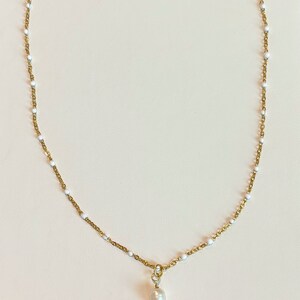 Calico Scallop Necklace, Beach Jewelry, Summer Accessory, Shell ...