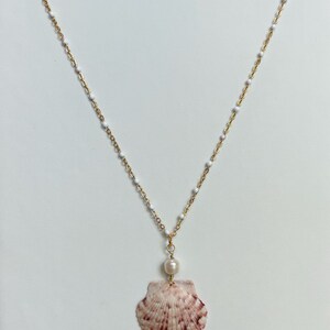 Calico Scallop Necklace, Beach Jewelry, Summer Accessory, Shell ...