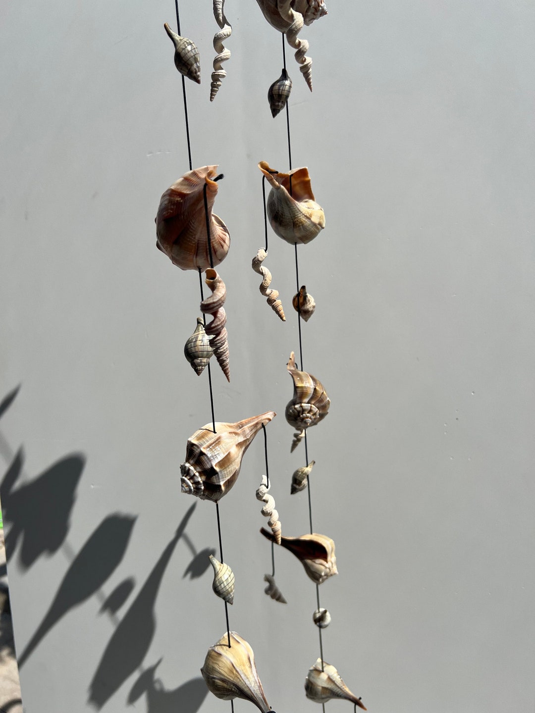 Spinning Lightning Whelk and Worm Shell Windchime - Etsy