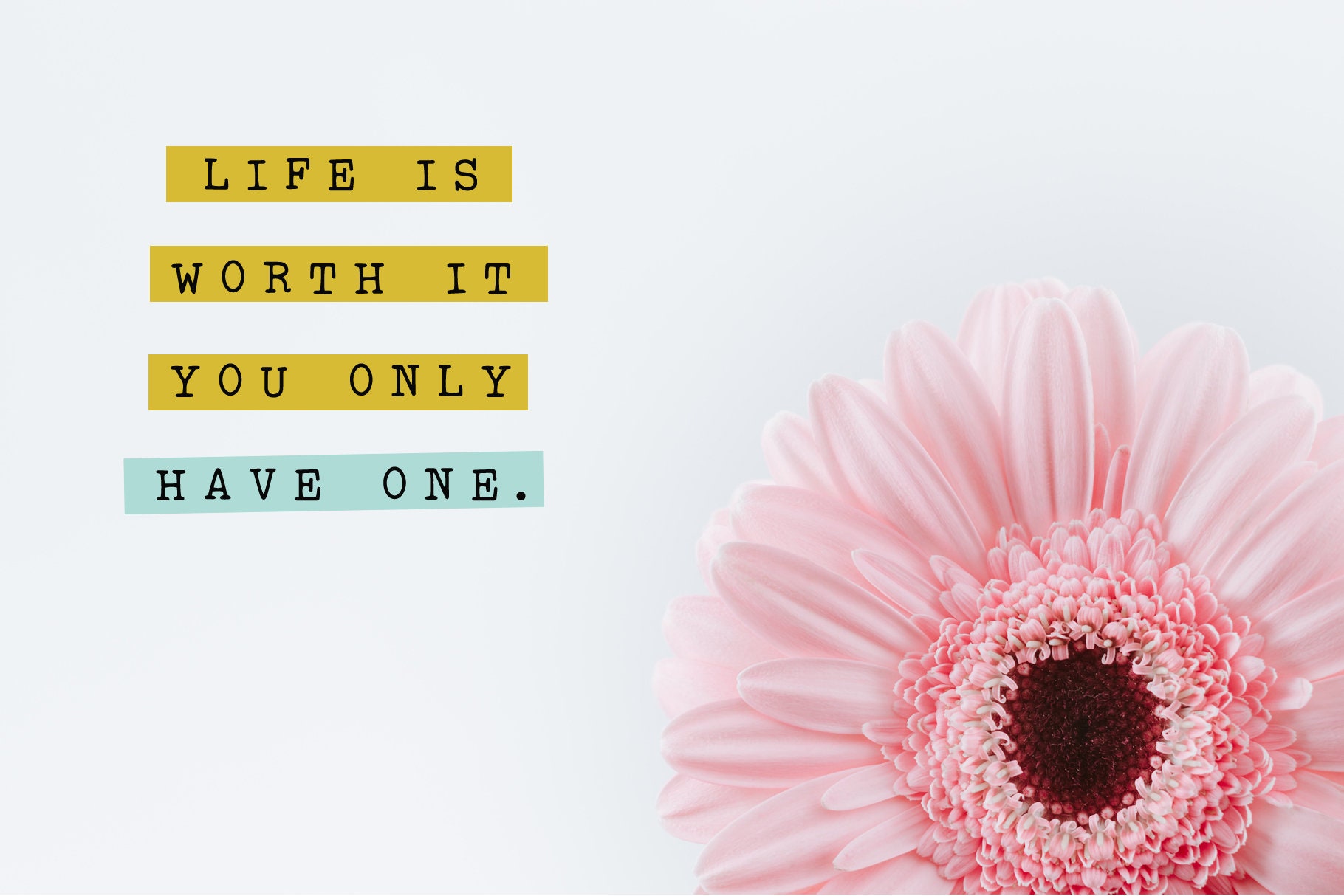 Color Swatches for Illustrator Photoshop and Procreate | Etsy