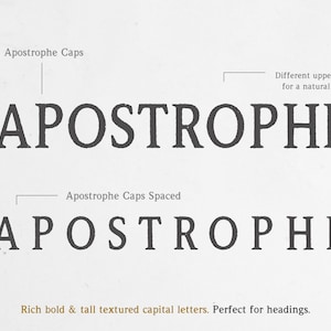 Vintage Font Apostrophe - an Antique Serif Font for Instant Download ...