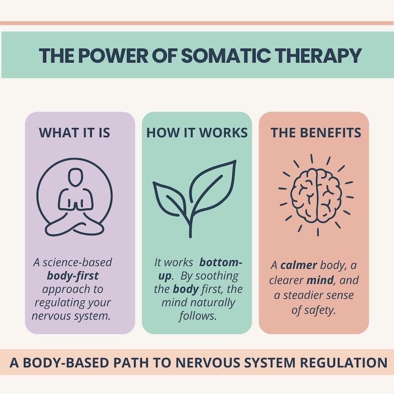 Nervous System Regulation Mega Bundle: Polyvagal Theory, Grounding ...