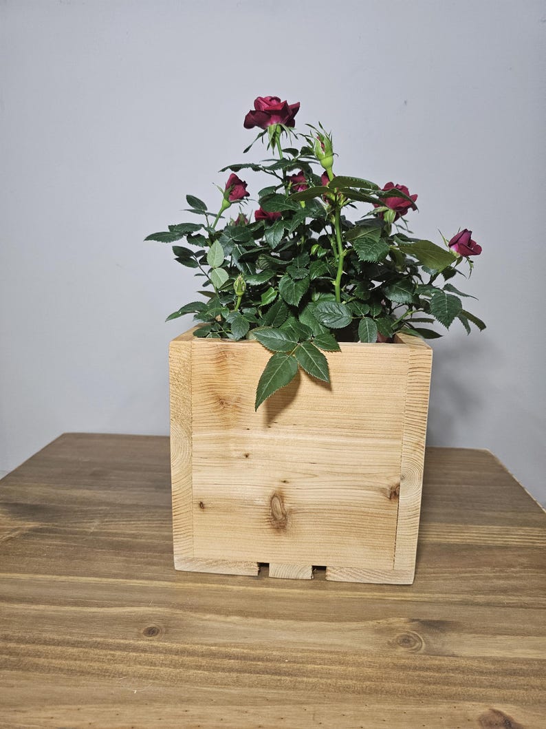 In Loving Memory Flower Pot | Memorial Planter Personalized - Etsy