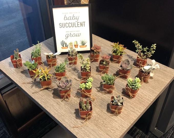 Succulent Bar Sign 8x10 - Etsy