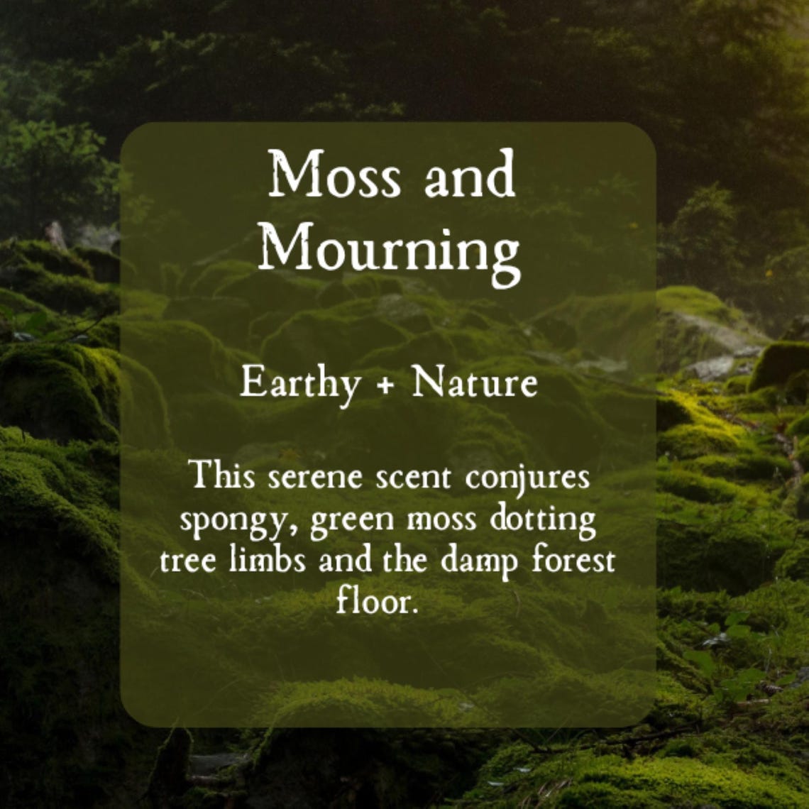 Moss and Mourning Gothic Perfume Roll on - Earthy Goth Scents Moss ...